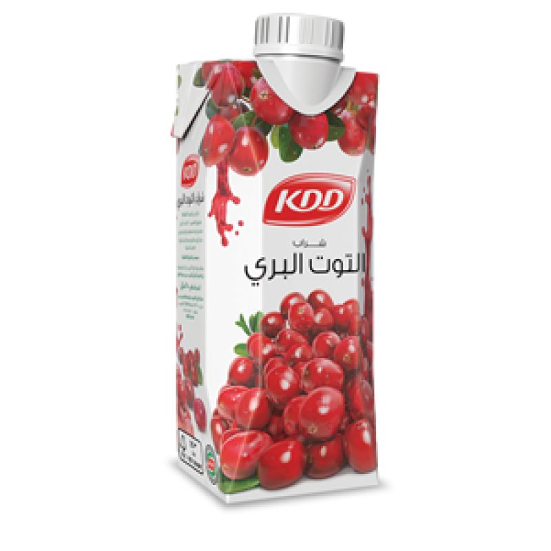 Cranberry Drink 250 ML (Prisma Pack)